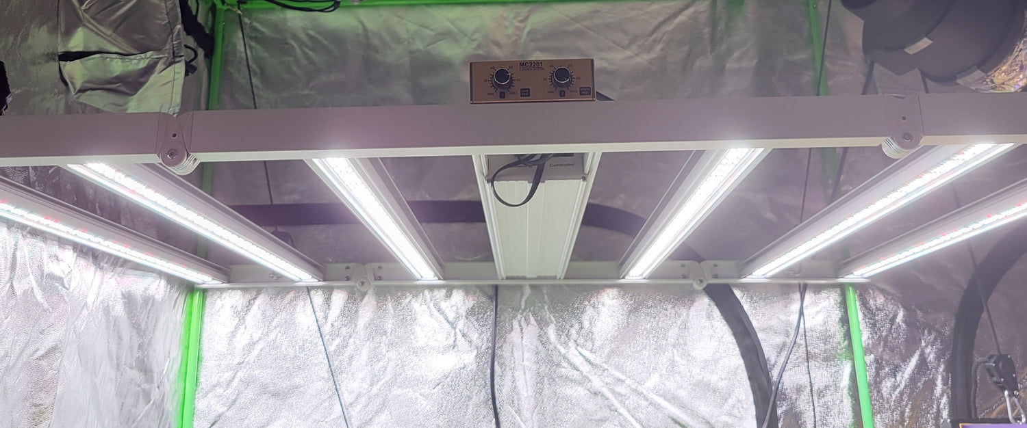 Taproot Hydroponics | How to Get More From Your Grow Light – TH