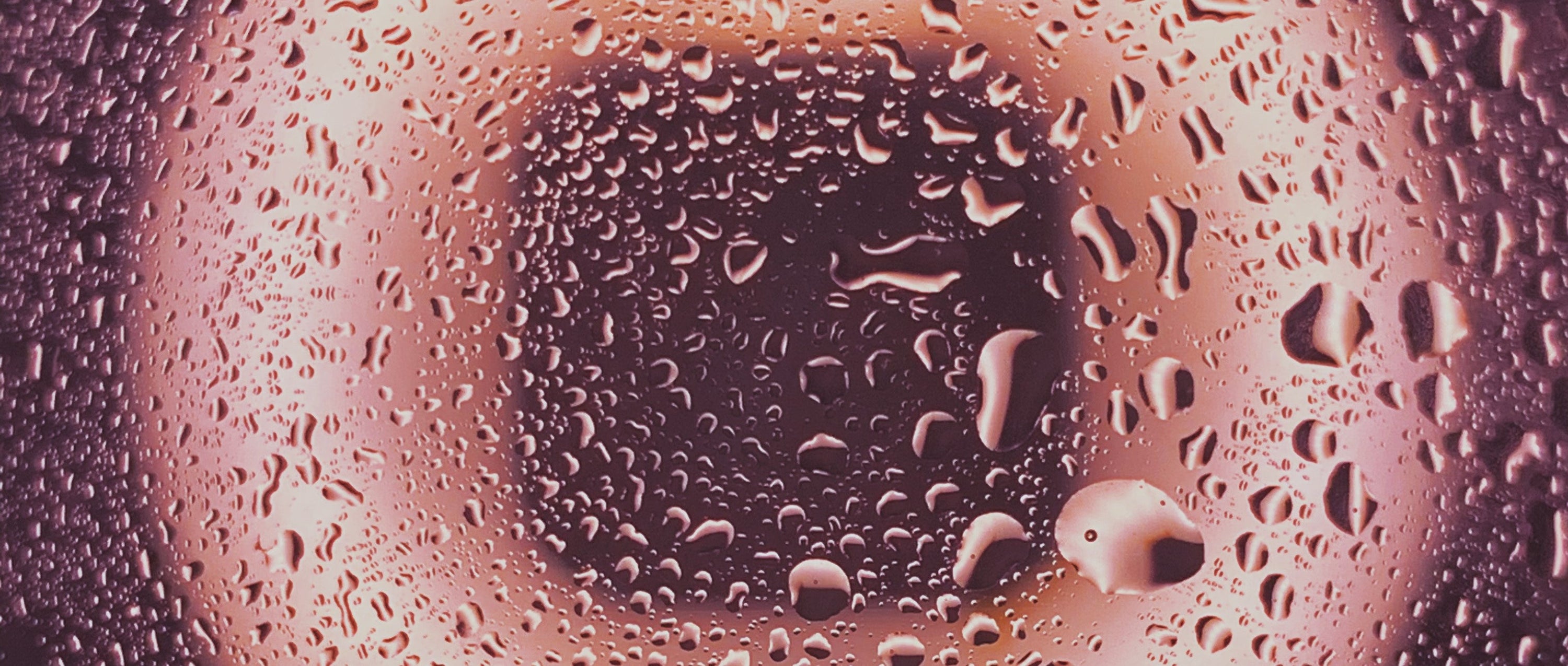 VPD Charts: Why They're Important for You – TH